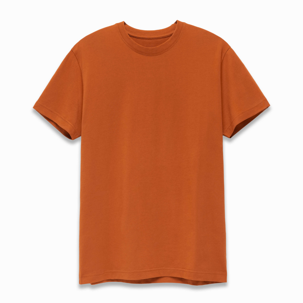 Original Favorites Perfect Summer Tee: Clay – Deco Denim